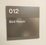 A Library for the Birds | Pop Goes the Page