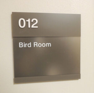 A Library for the Birds | Pop Goes the Page